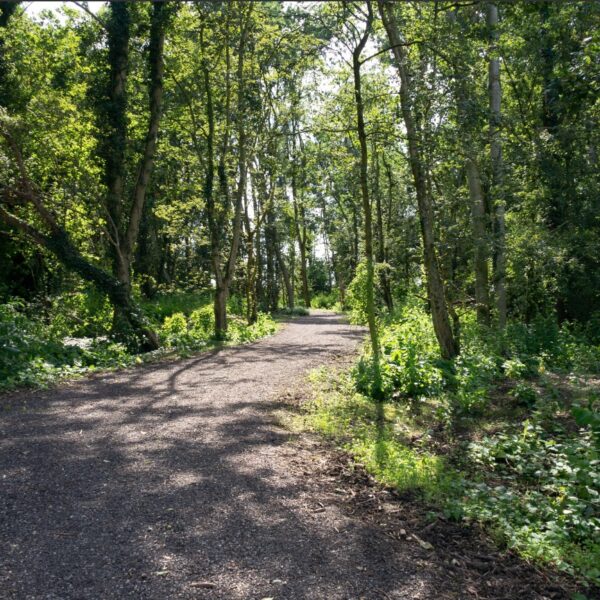 Uitvaart Den-Hout | Uitvaartverzorging Den-Hout